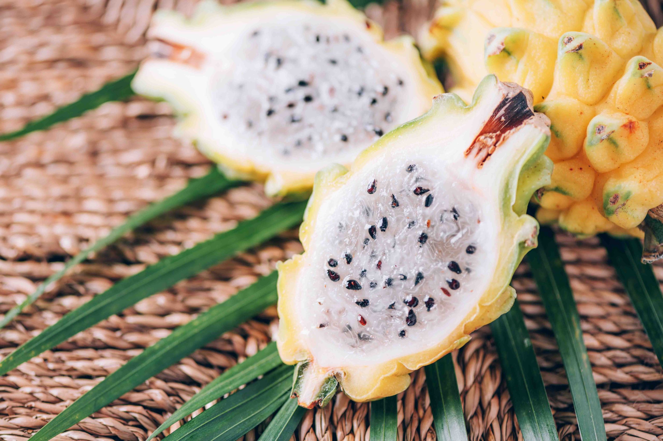 Fruta de verano: Conoce los requisitos de calidad de la Pitahaya ...